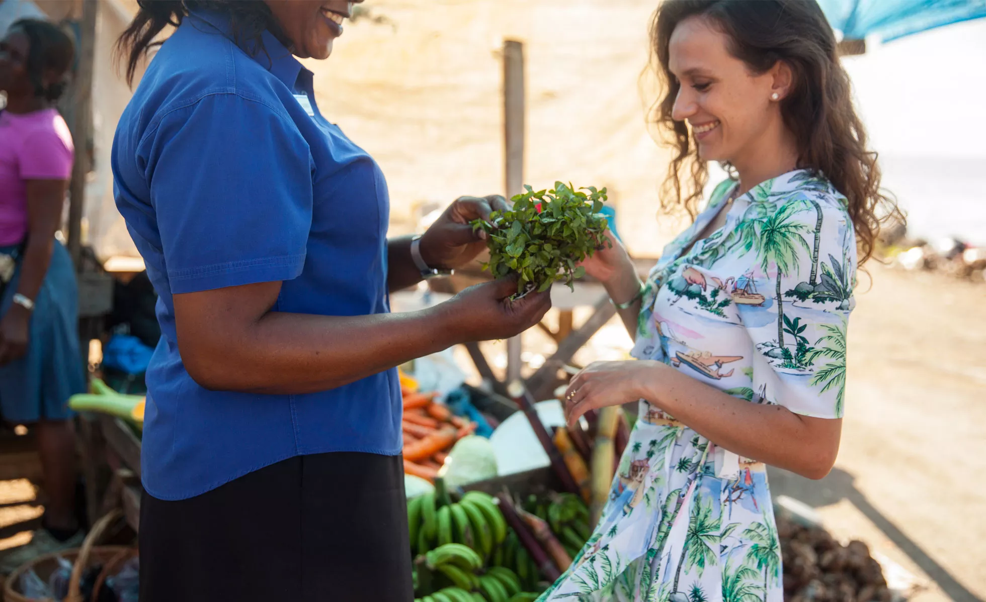 About the Resort & Travel to Jamaica | Bluefields Bay Luxury Villas